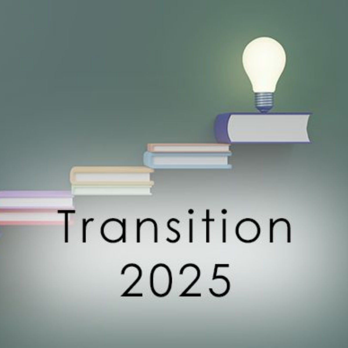 Plymstock School - Transition 2025